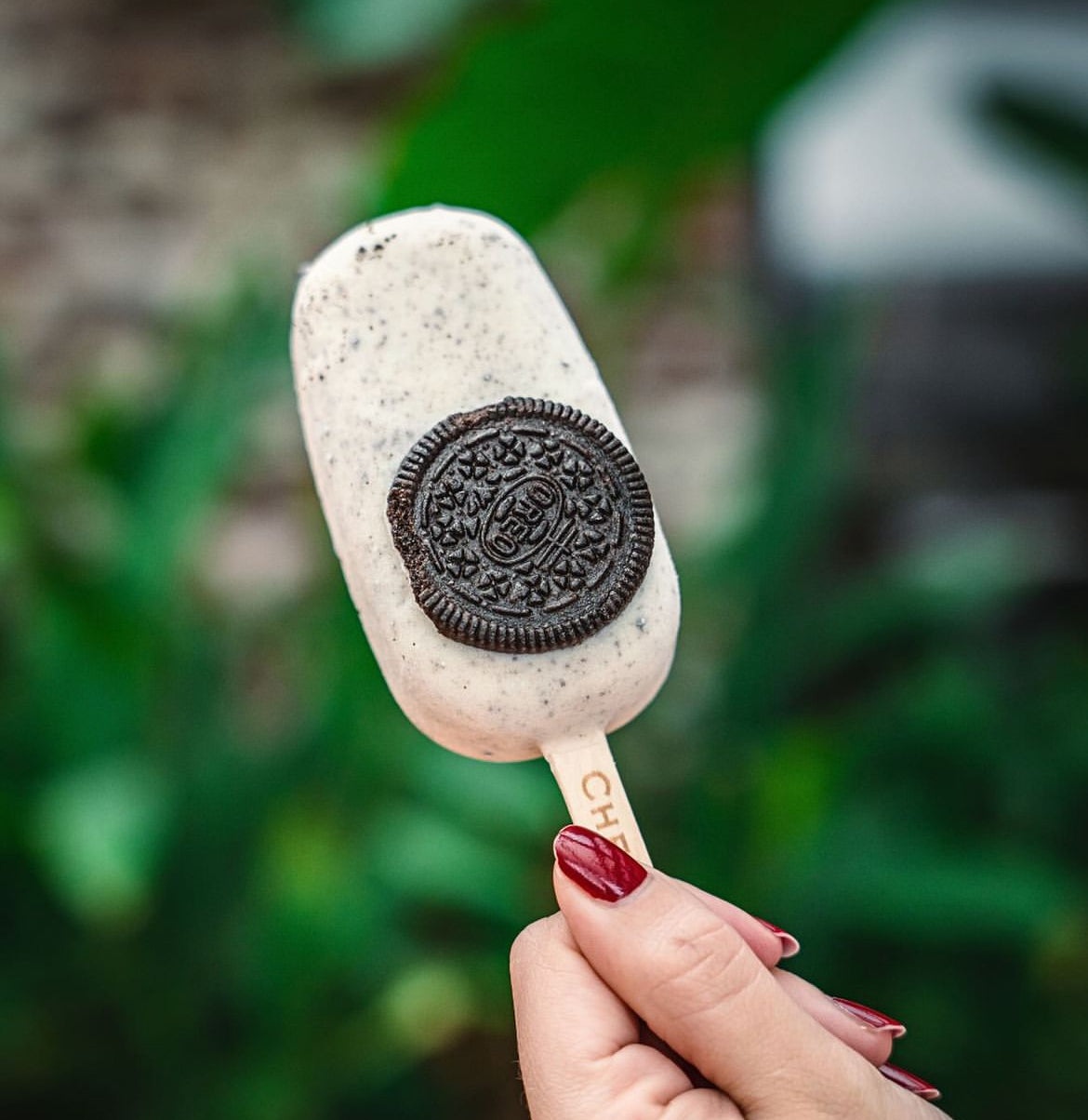 Paletas – Mercado Williman